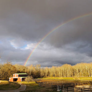 Media Gallery - Break N Run Farms
